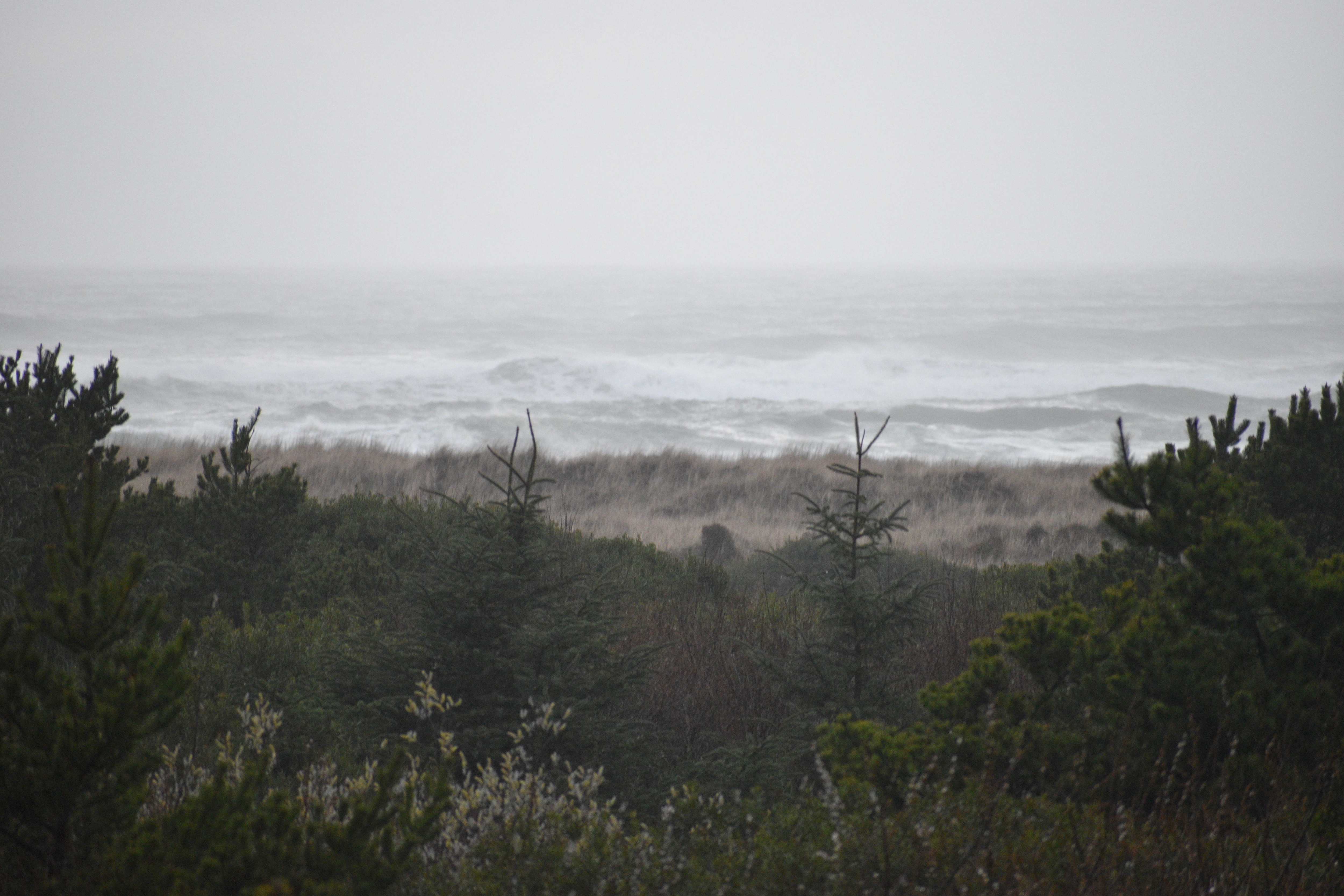 View from room 305's balcony