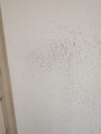 No grab bar in shower or a working fan