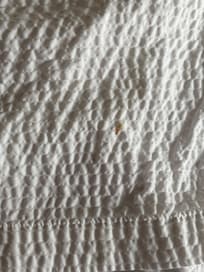 Bedding