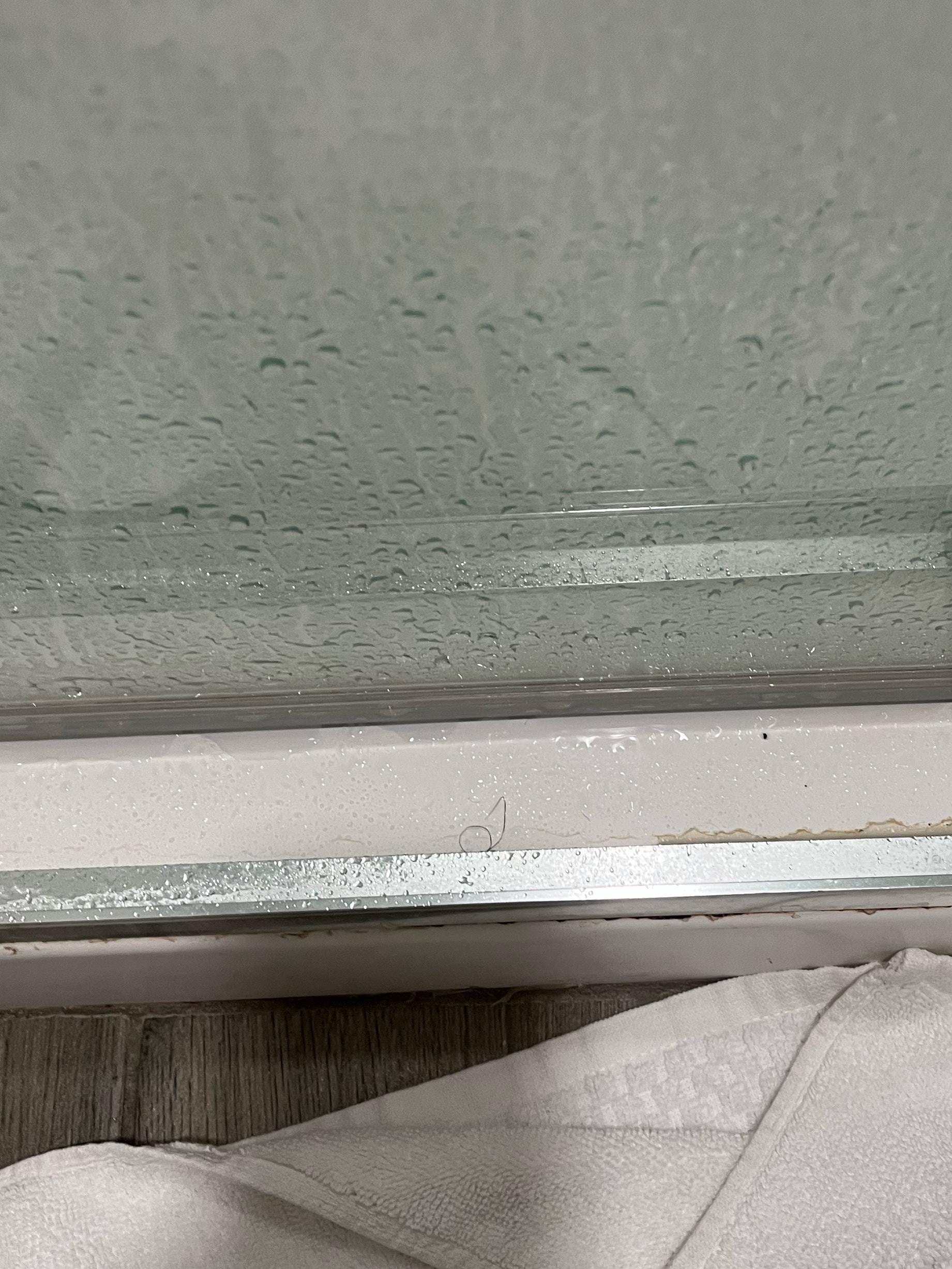 Pubic hair in shower door track. My husband tried to rinse the entire shower to see if it would help, but of course it did not. 