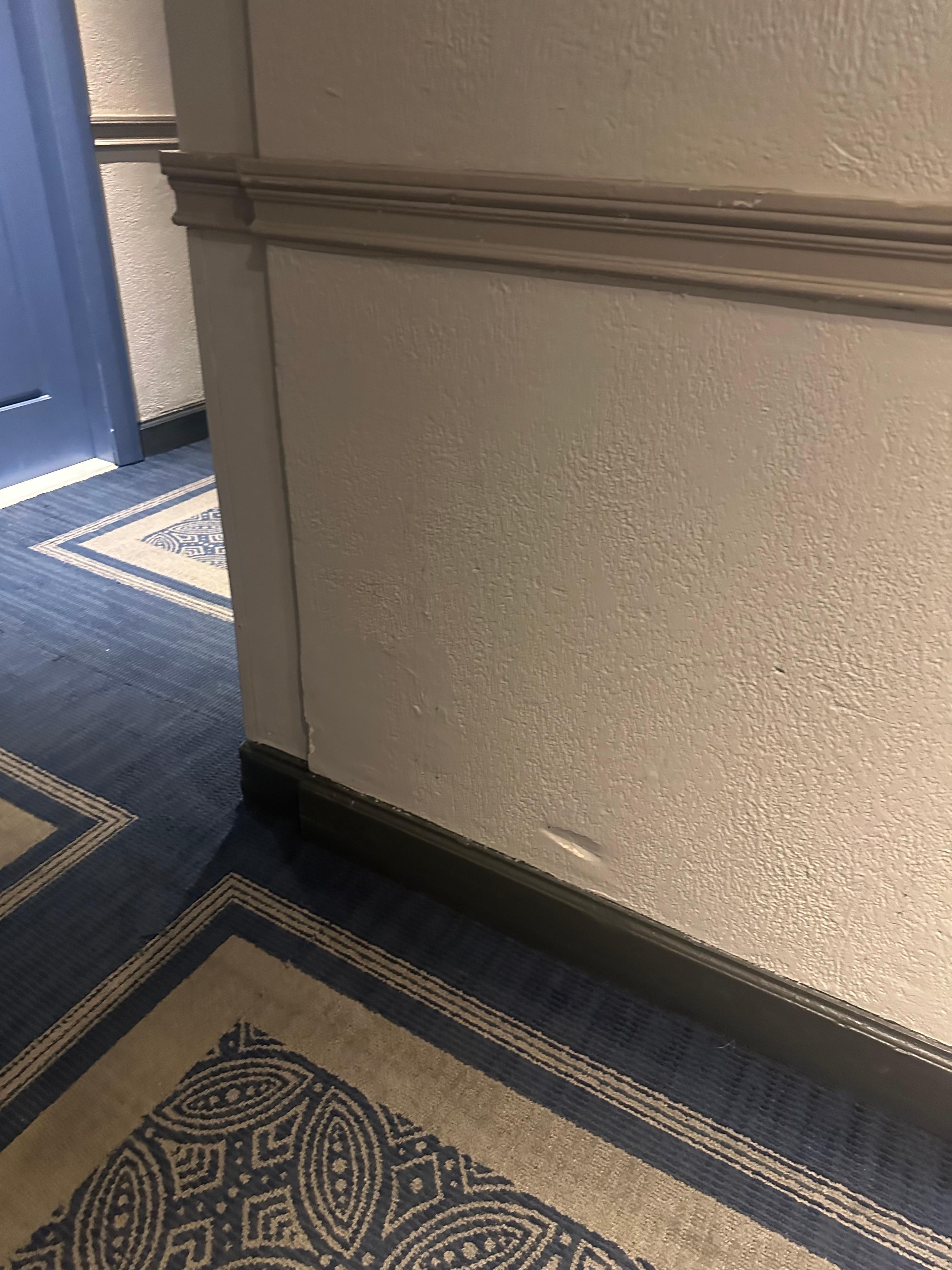 Chipped paint, threadbare stained carpet and ripped wall coverings everywhere. 