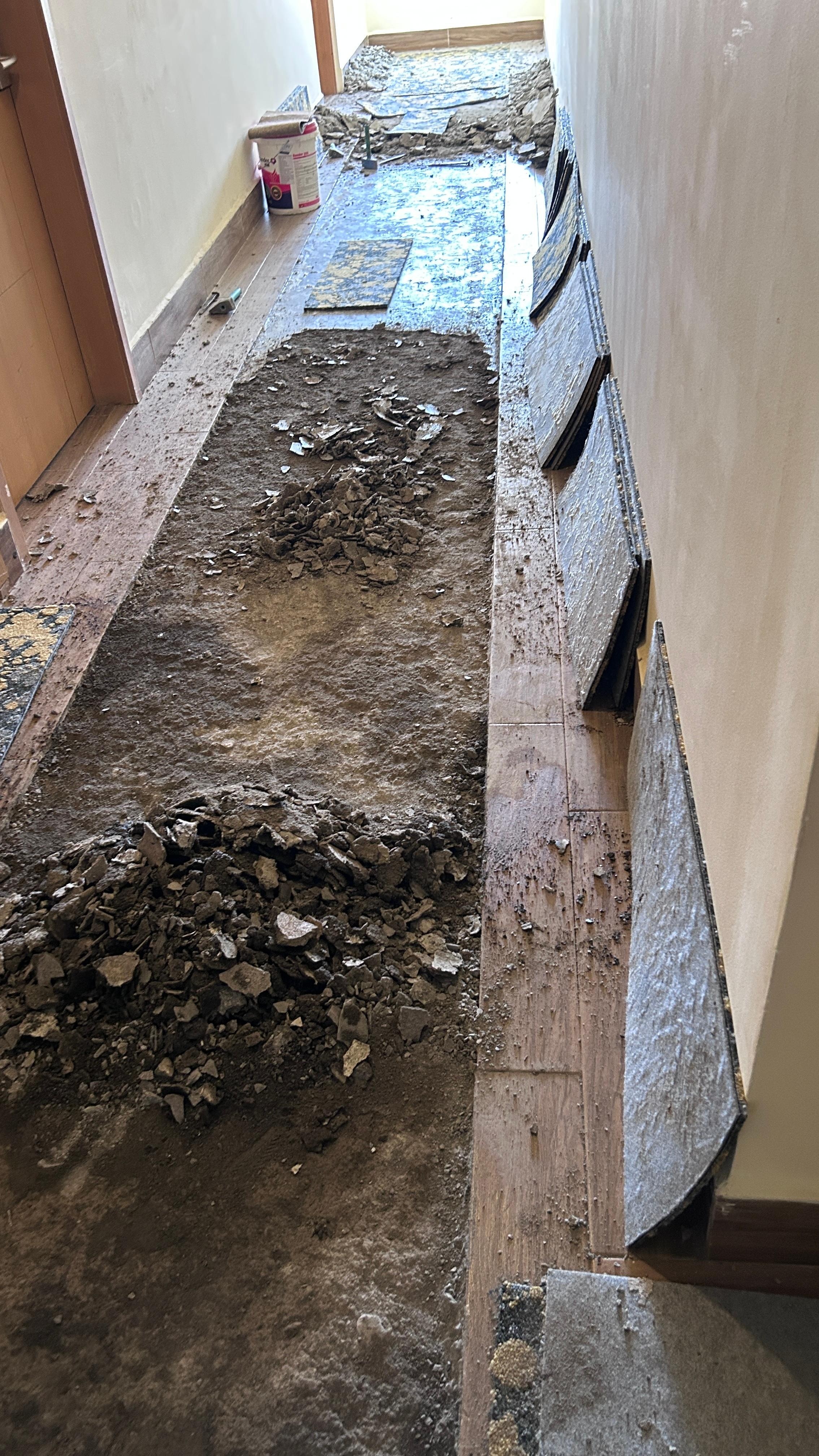 Construction mess in corridors 