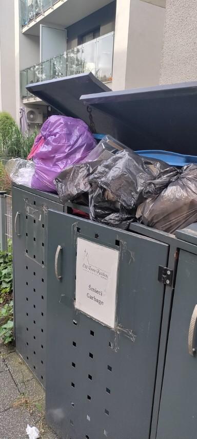 Overflowing rubbish bins: Unsanitary and unpleasant environment