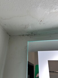 Black mold patch