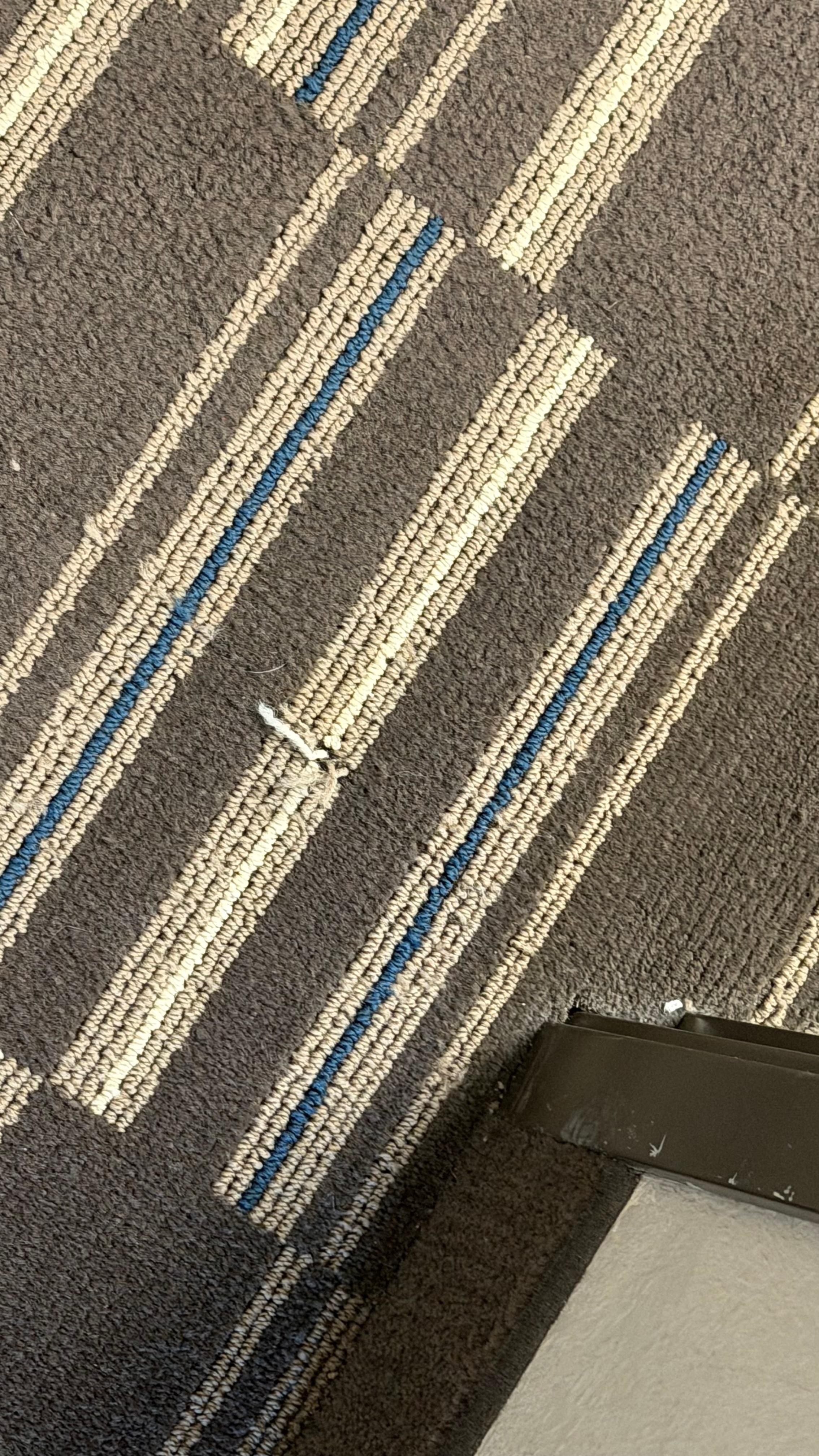 Debris on carpet 