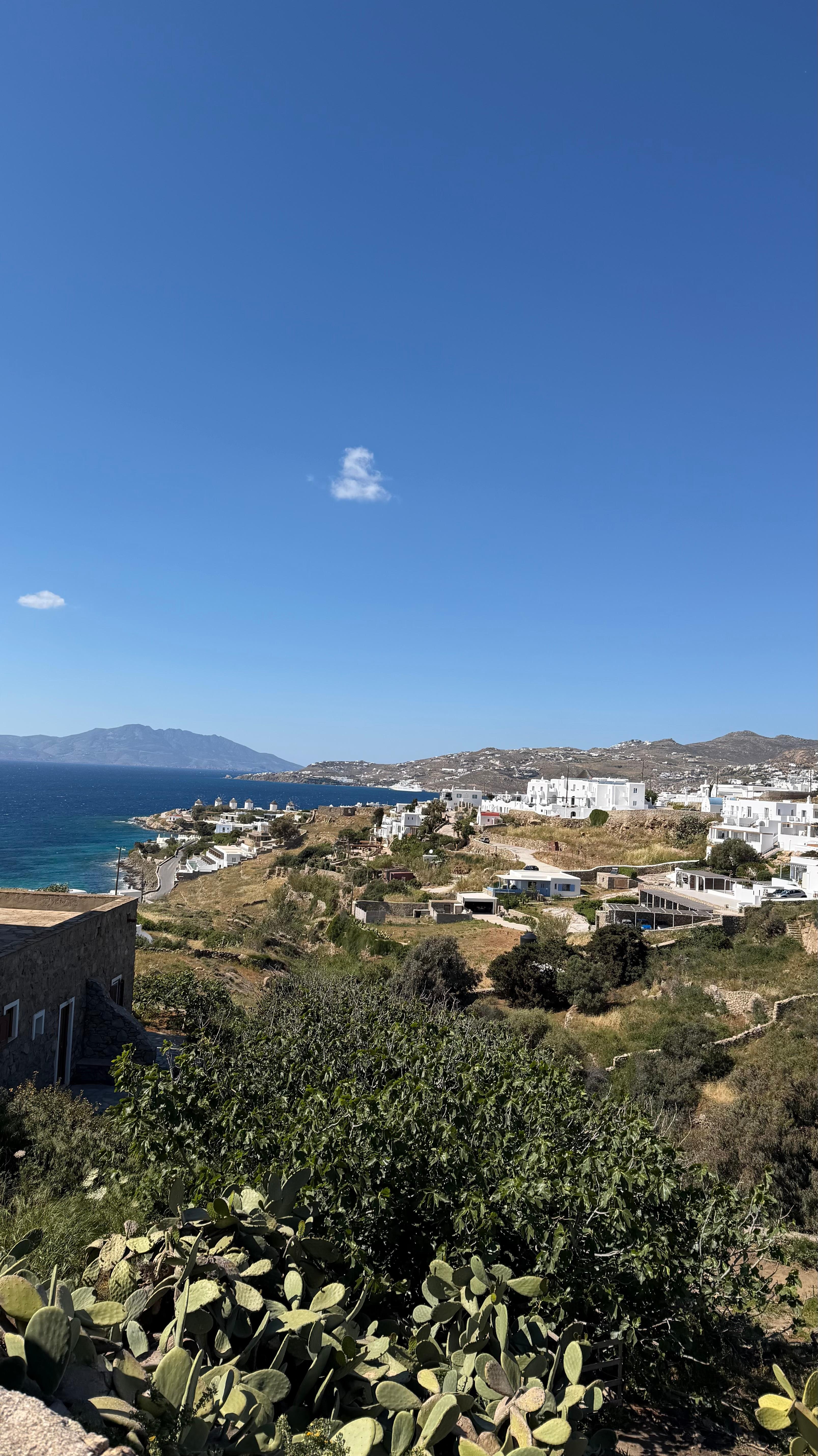 Vista 