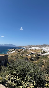 Vista