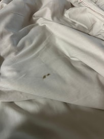Stained bed sheet