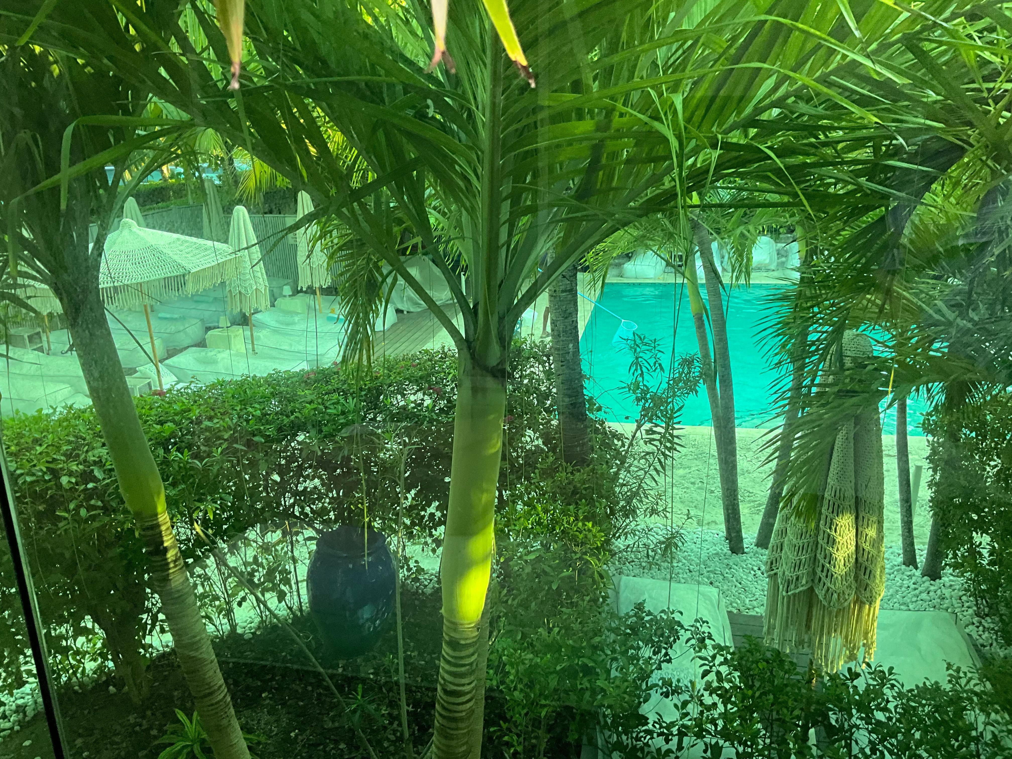 From the balcony of our second floor King room.