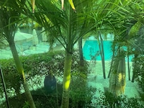 From the balcony of our second floor King room.