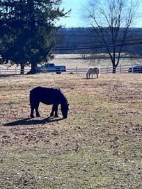This is the peaceful science that greets you as you arrive!