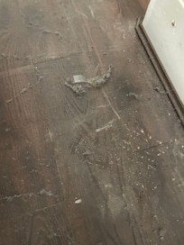 Clearly visible next to/under the bed but without having to move the bed.