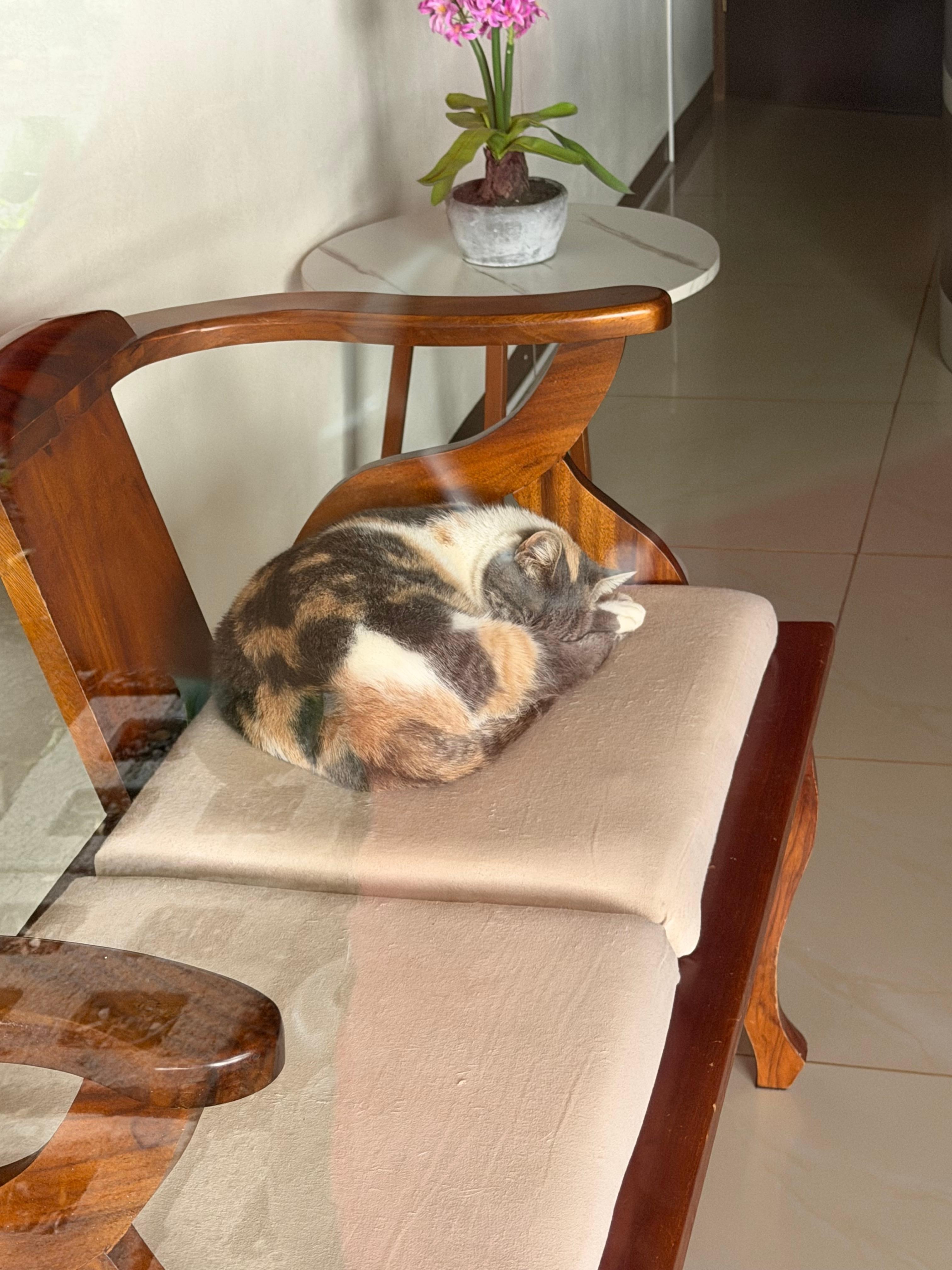 Groundskeeper sleeping off a hard day’s work 