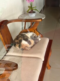 Groundskeeper sleeping off a hard day’s work