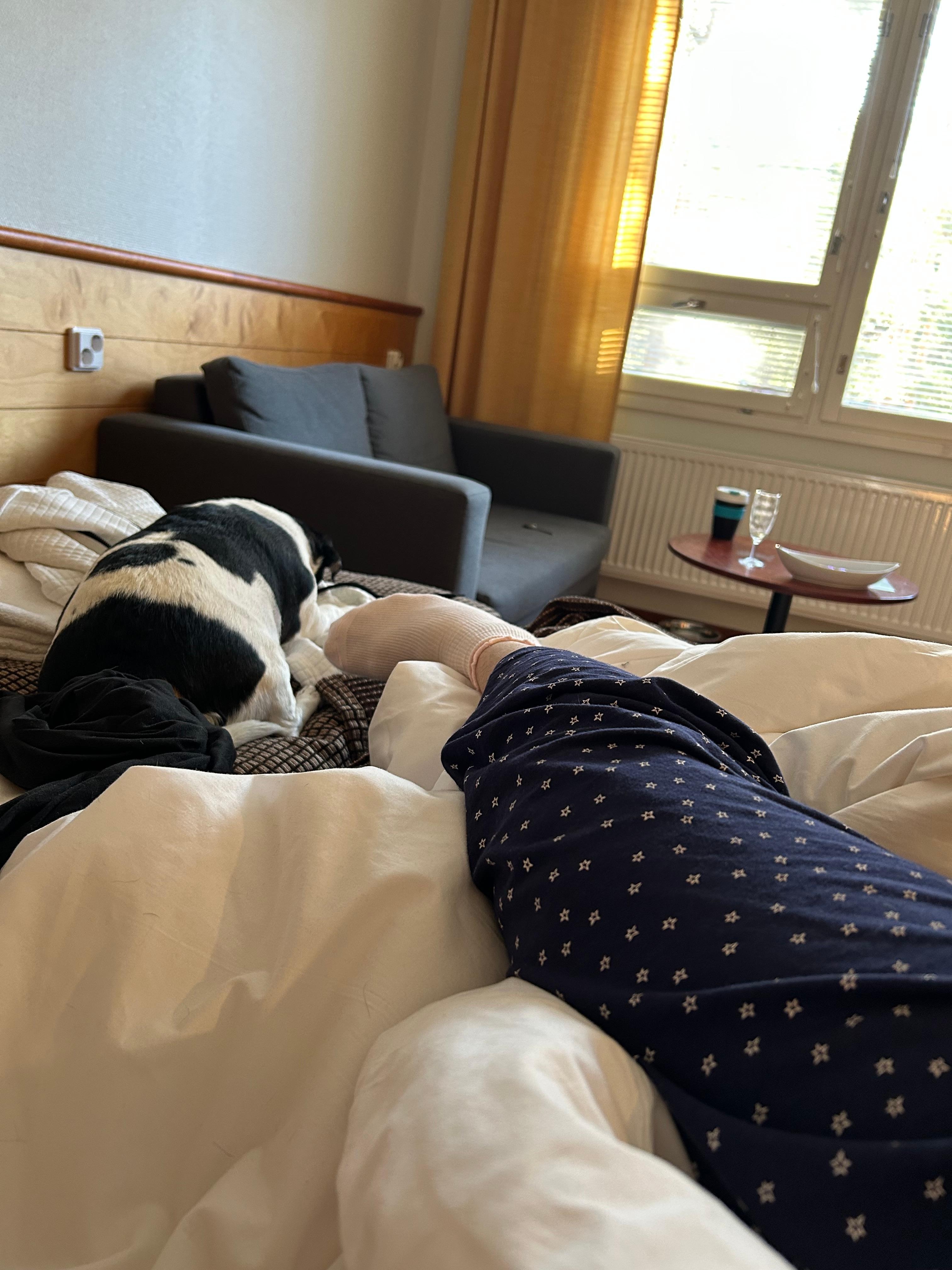 Lemmikit sallittu oli hyvä asia. 