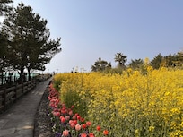 호텔 앞 정원, 걷기좋음