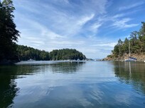 The water shuttle pickup spot at Butchart Gardens -- a great place to watch the herons, seals and jellyfish.