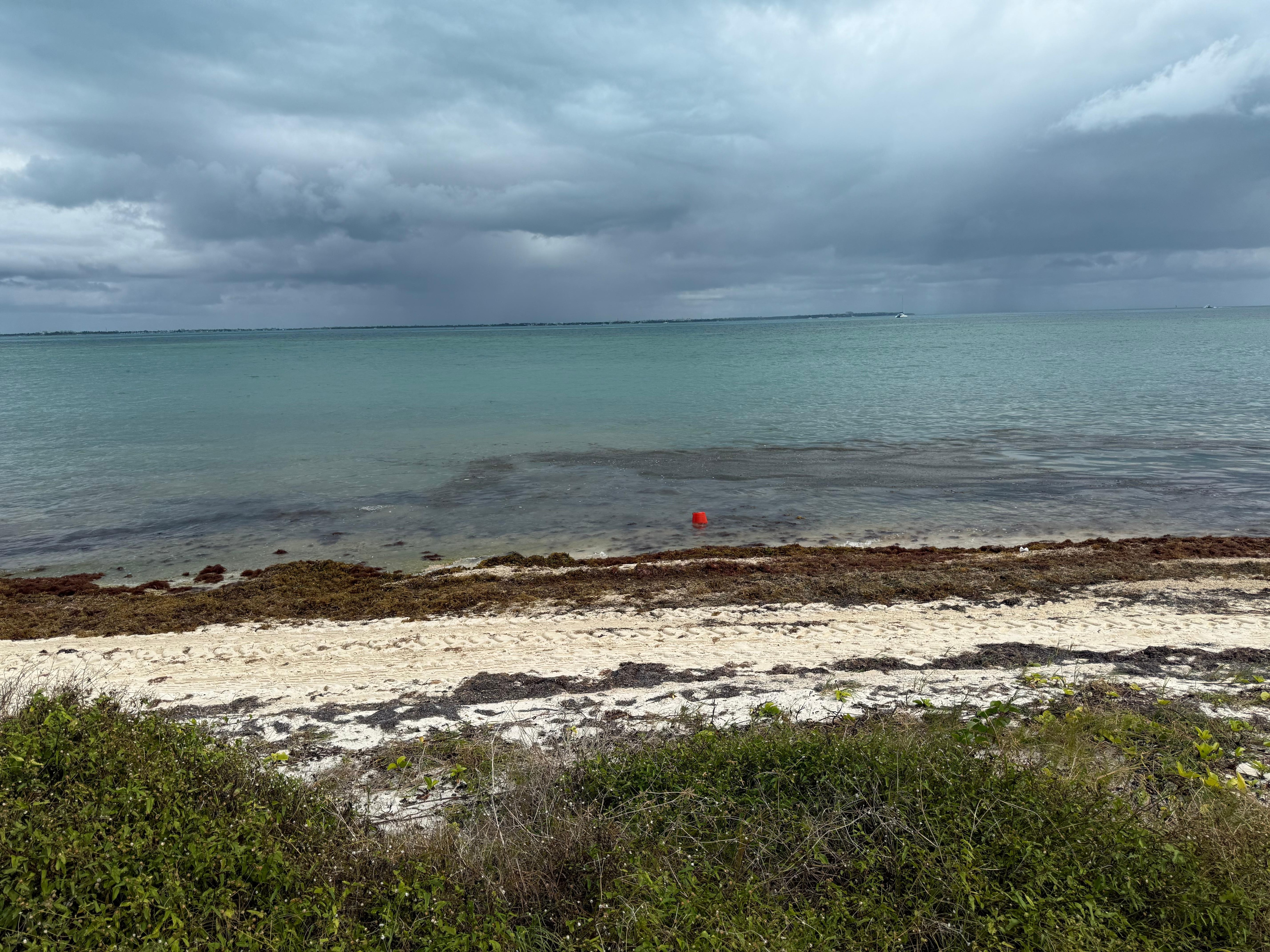 Beaches are rocky and coveted with sea weeds