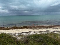 Beaches are rocky and coveted with sea weeds