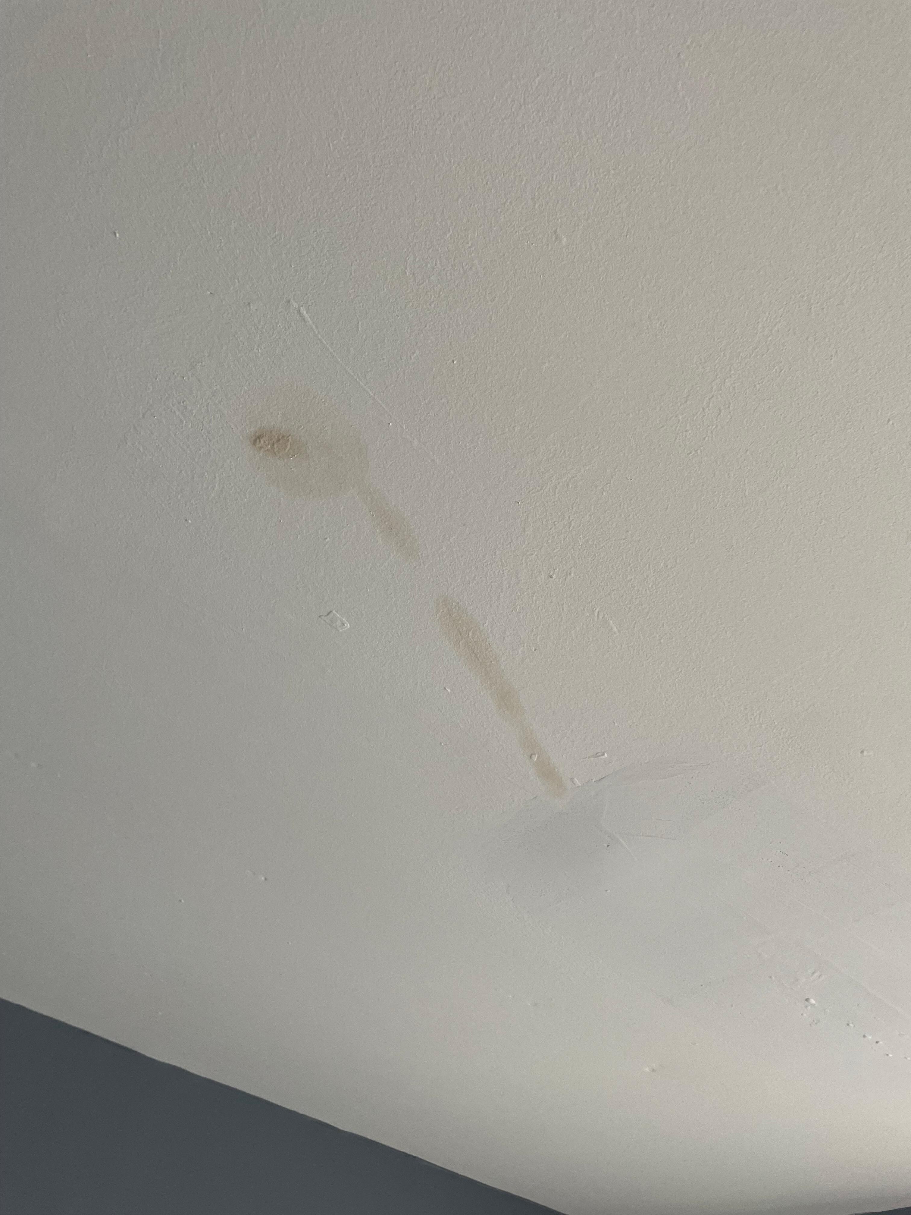 Dirty walls 