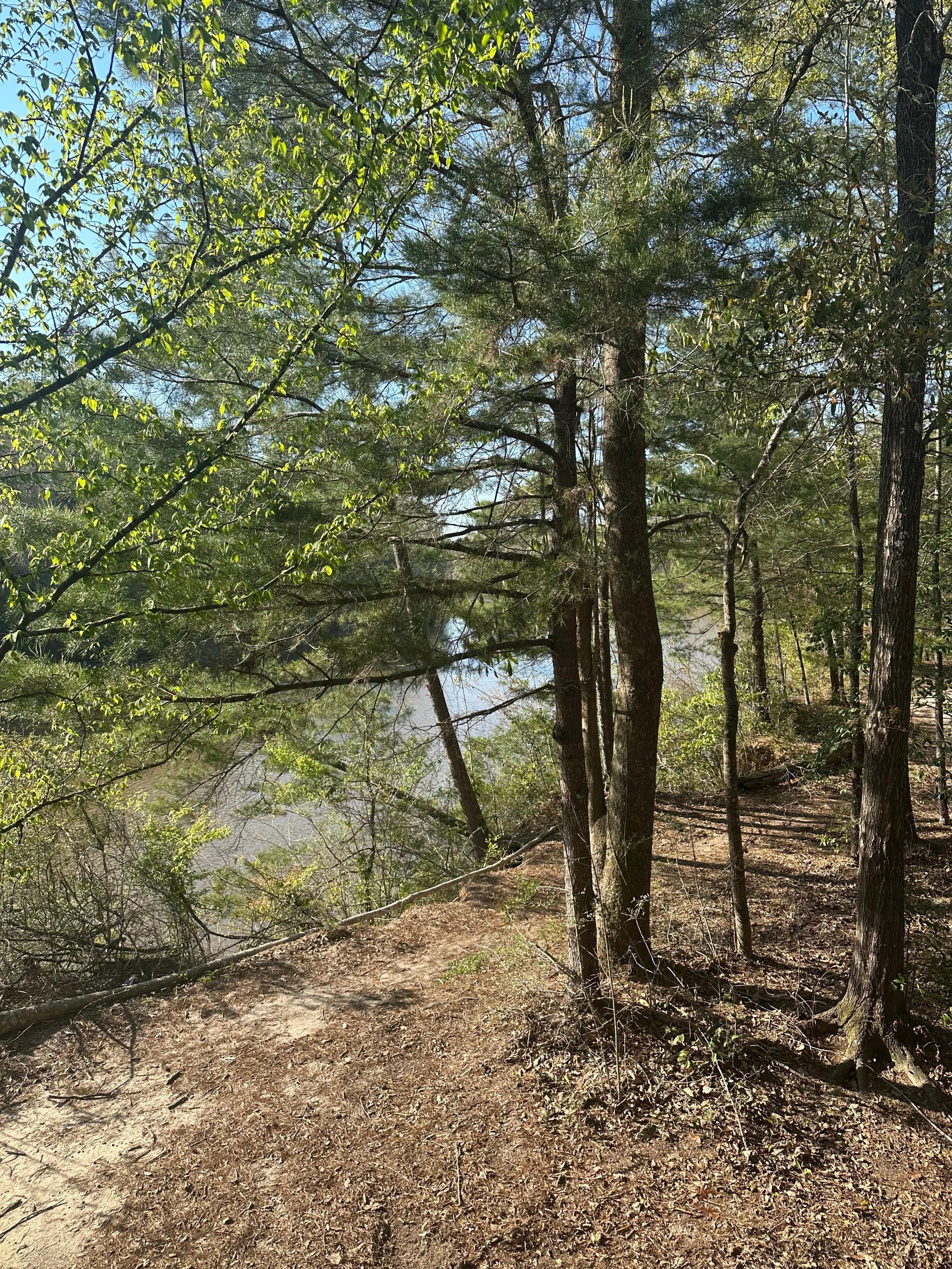 Instead of the soothing sound of the river, we got the soothing sound of the interstate