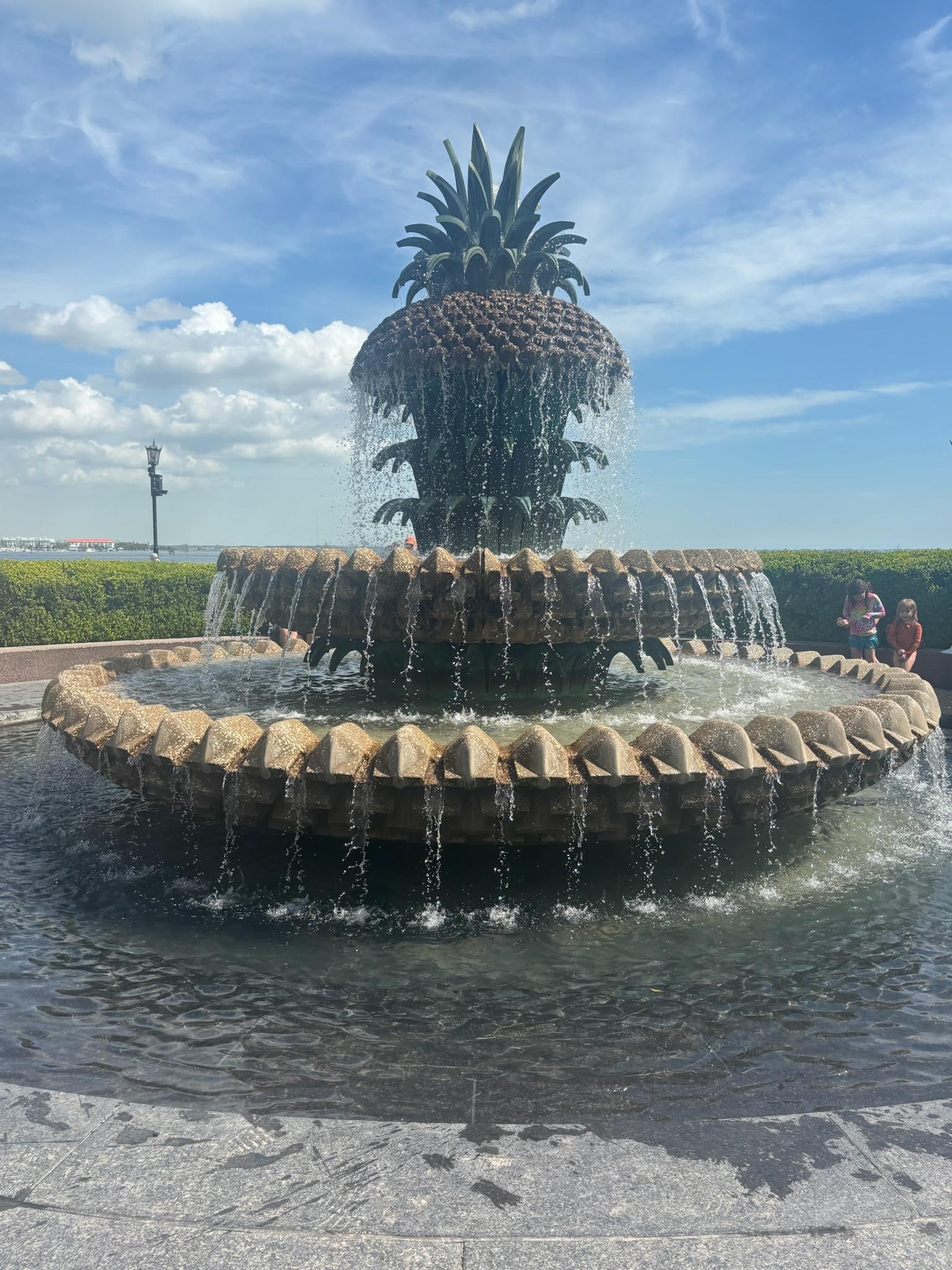Pineapple Fountain