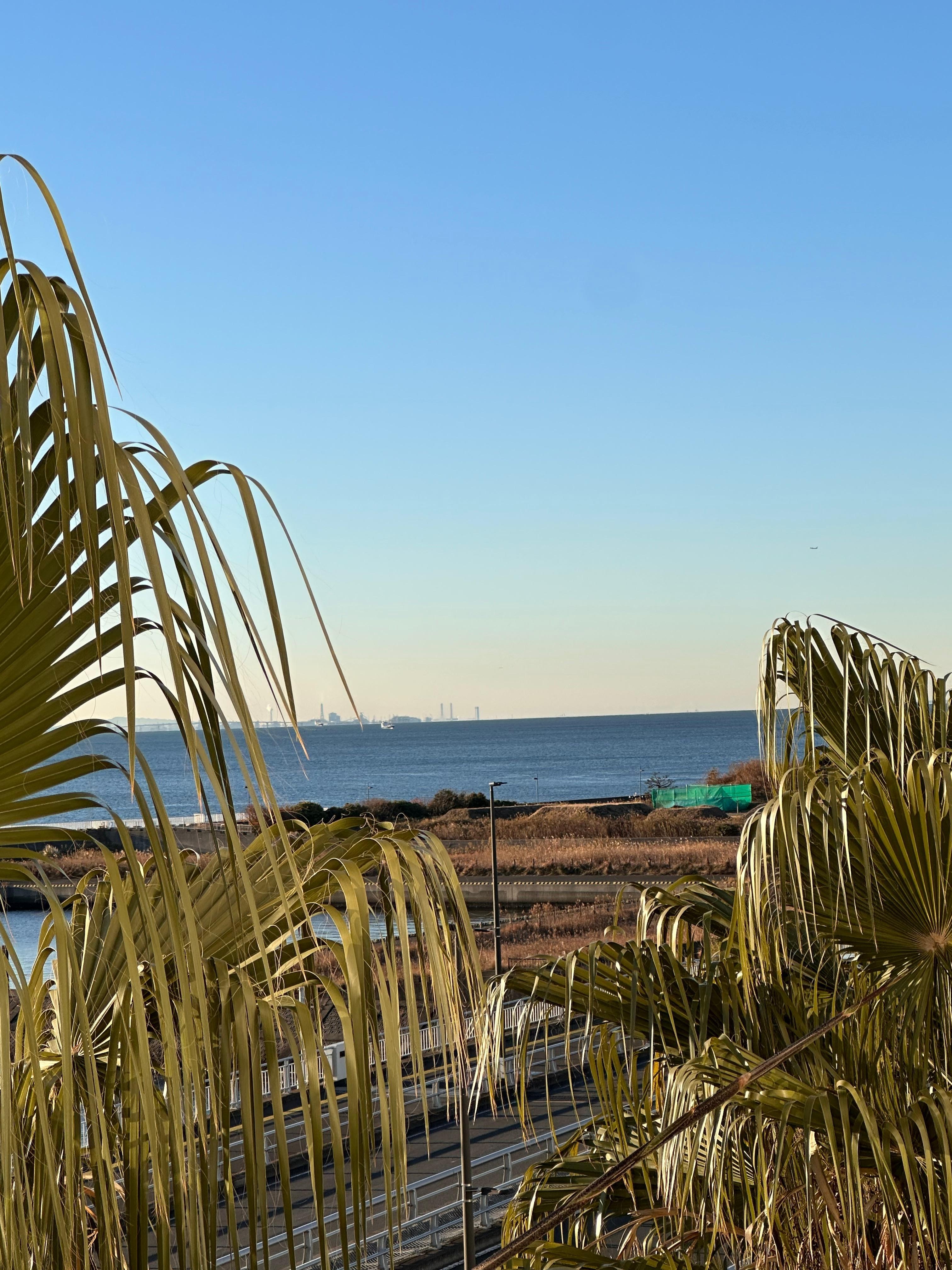 The view of Tokyo Bay from our hotel room