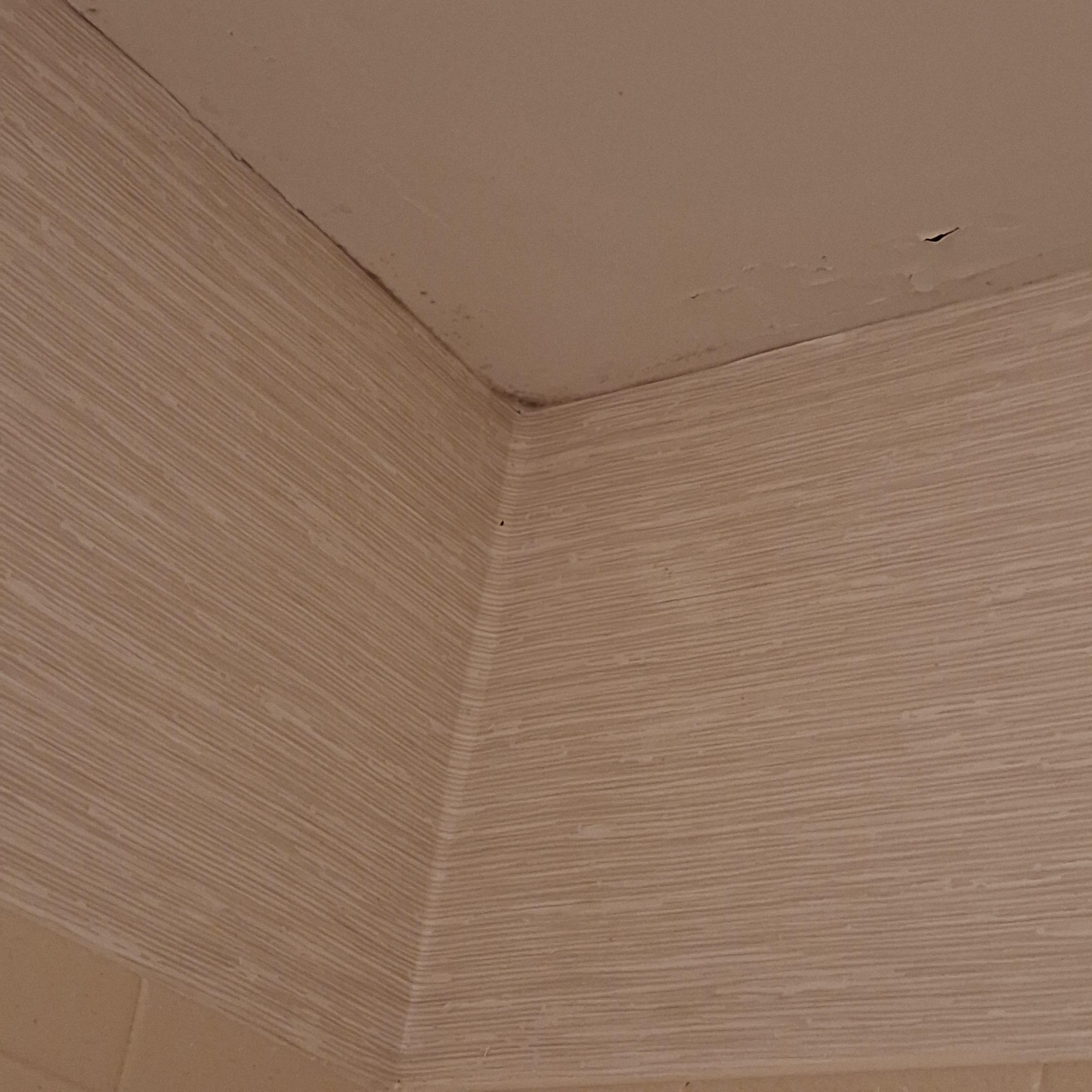 Mold in showet
