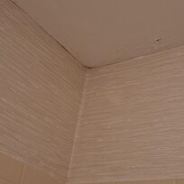 Mold in showet