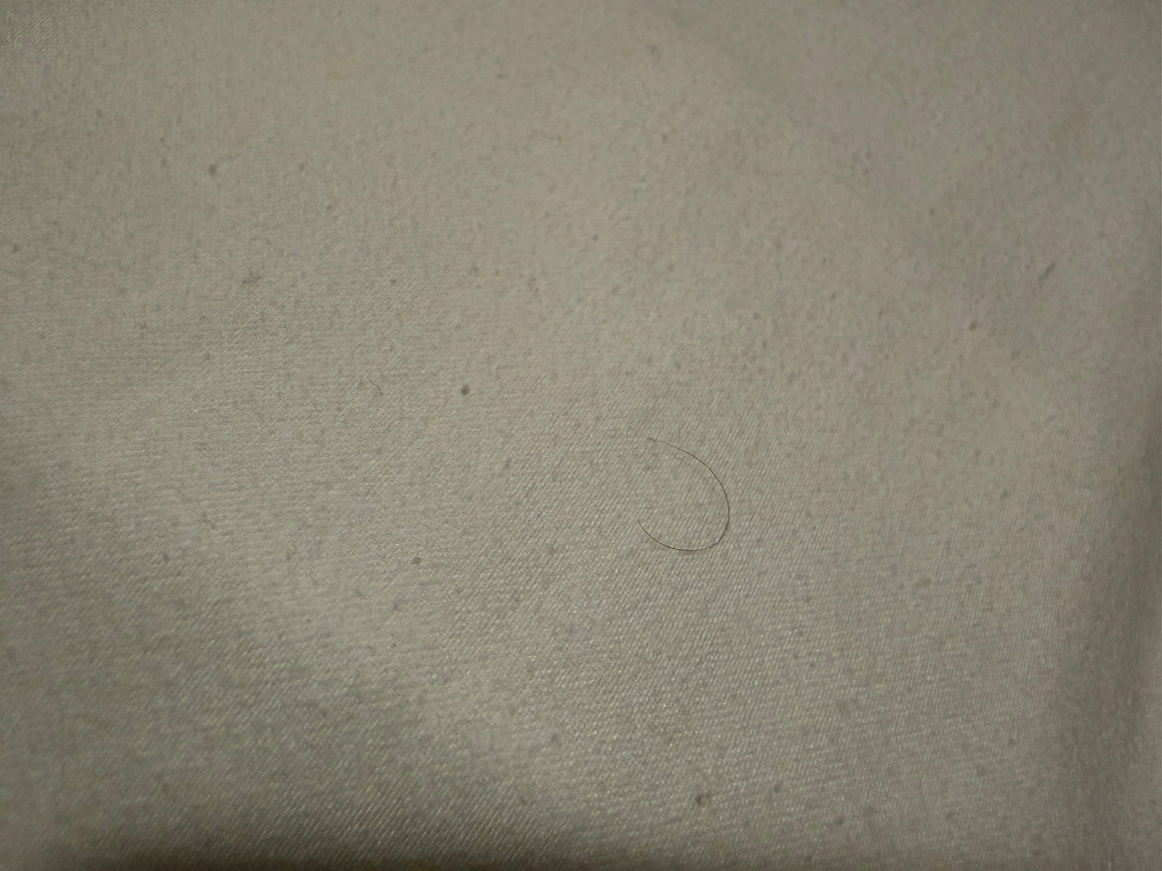 Hair on pillowcase noticed right away when entering the room. 
