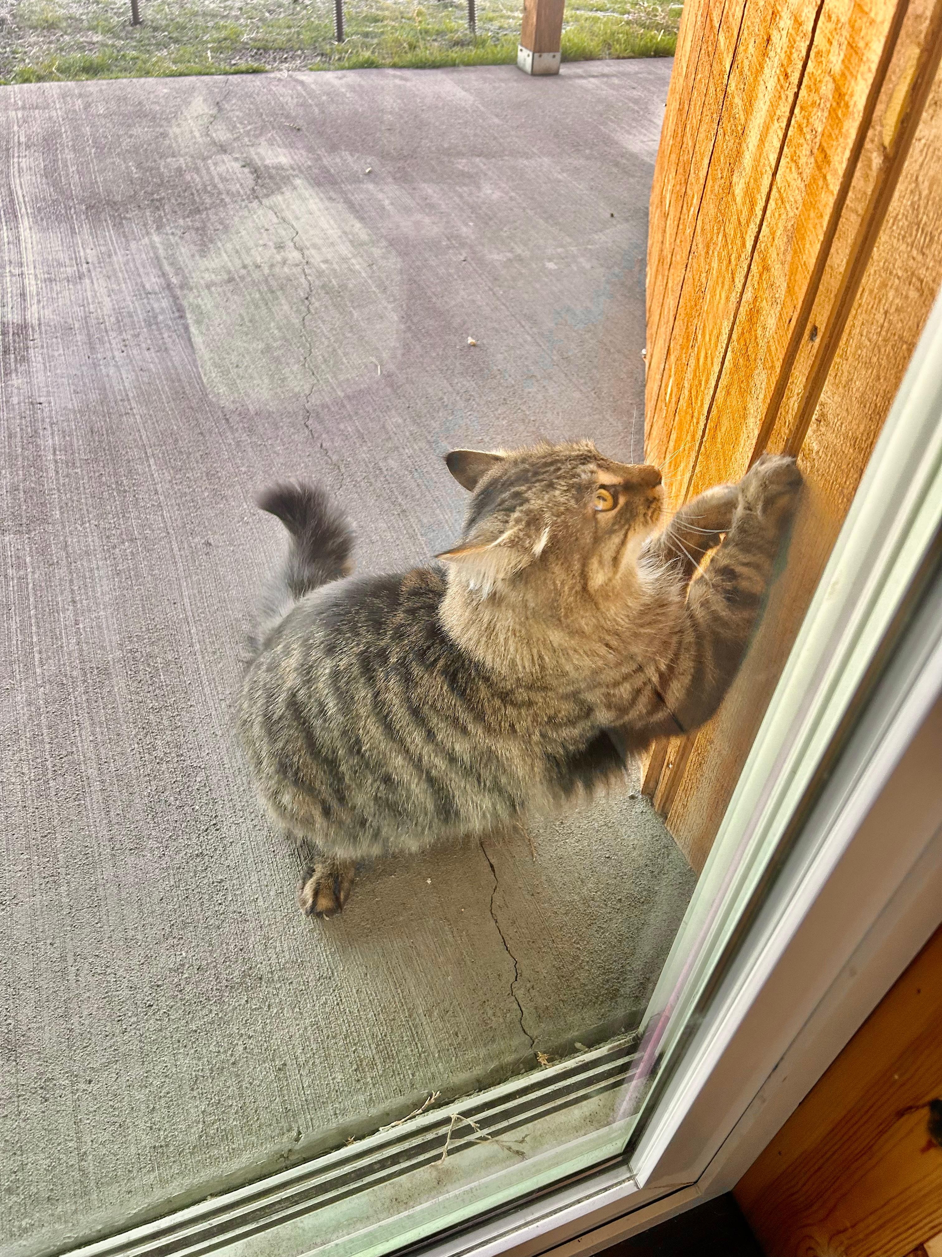 Sunset from the room