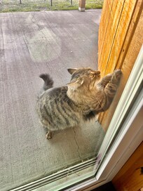 Sunset from the room