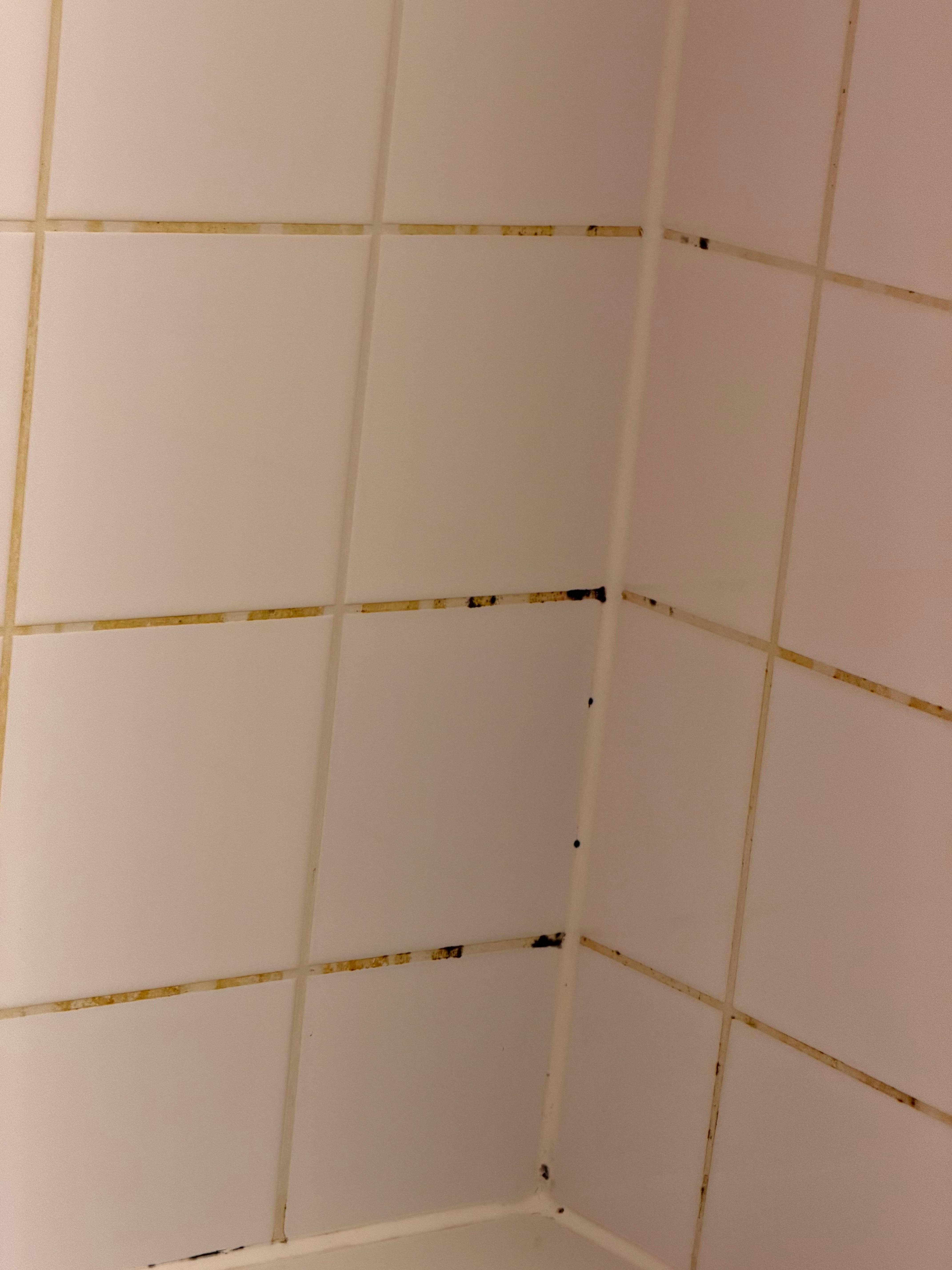 Fliesenzwischenräume schwarz 