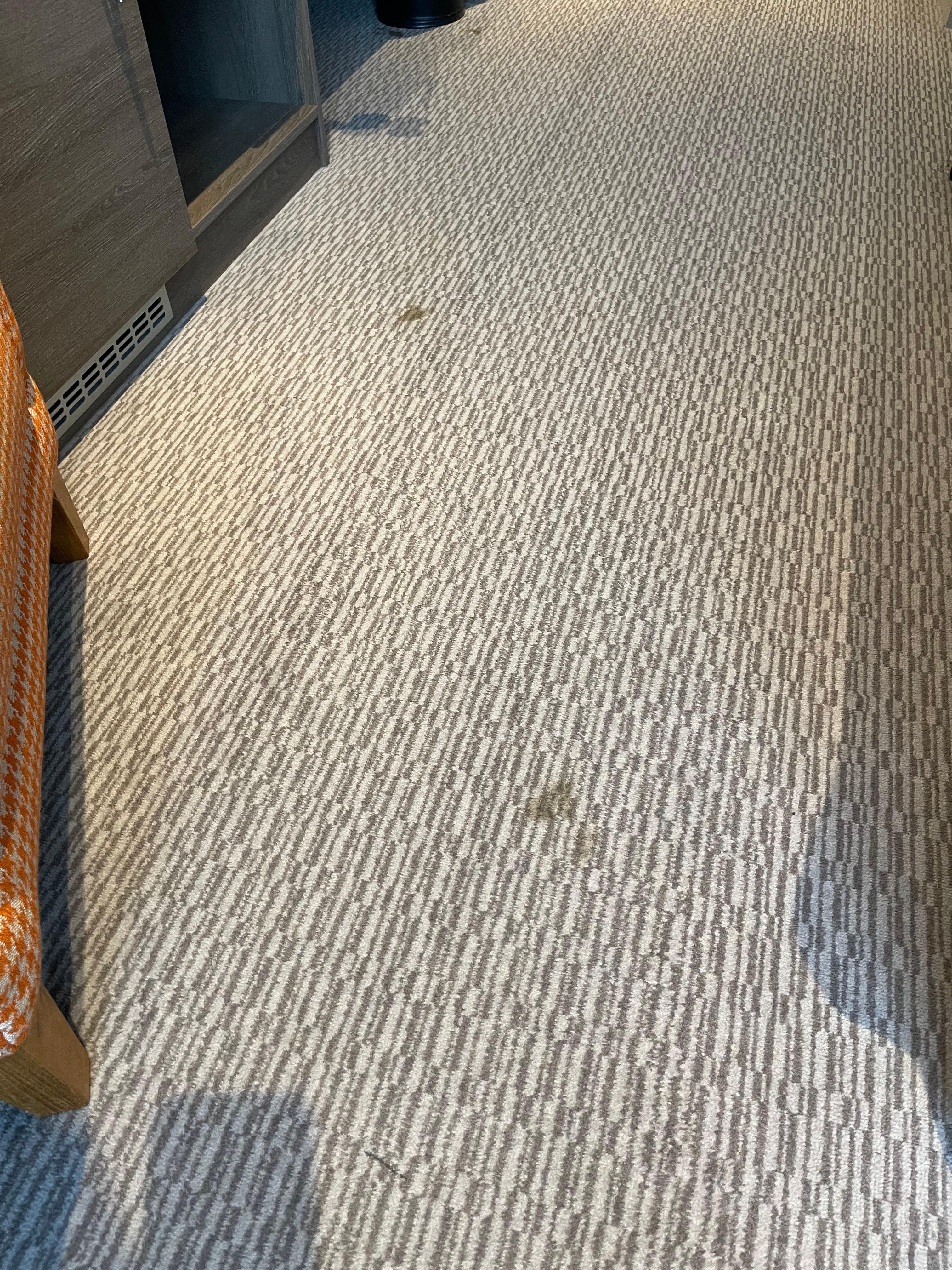 More nasty spots on floor.