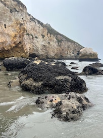 Tide pools