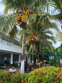 Dining Area overlooking the beach