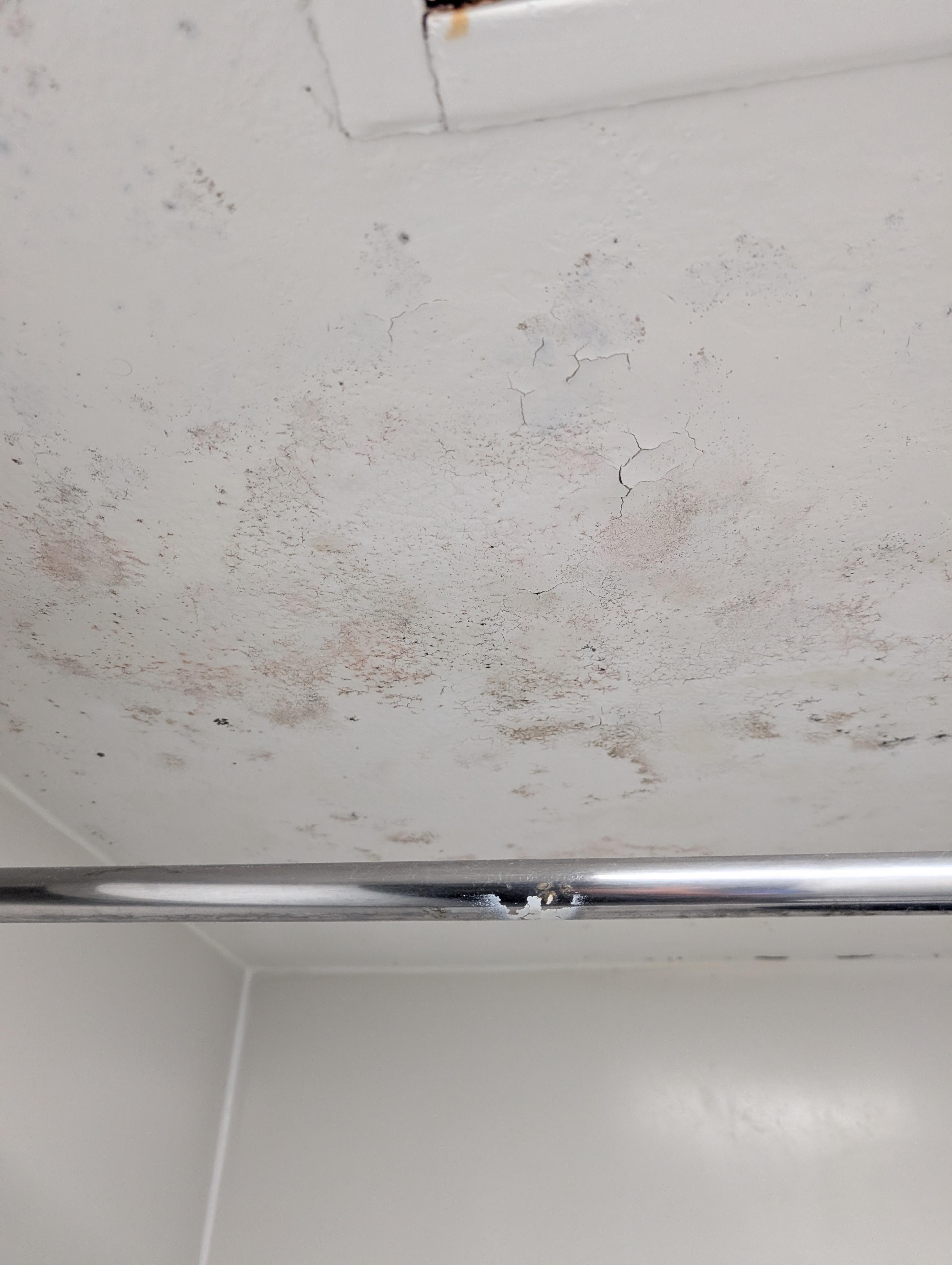 Mold in the bathroom