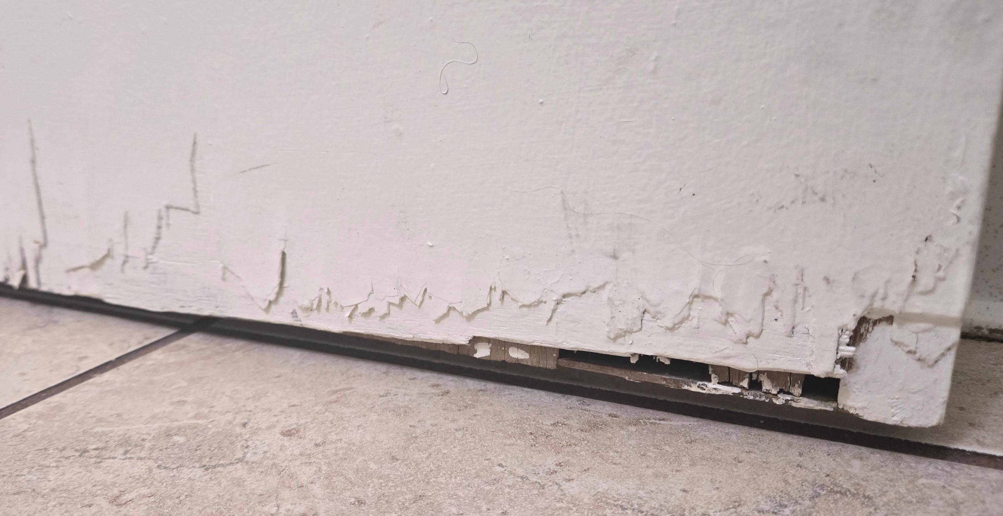 Doors were old, and looks like water damage or just rot had gotten to the entire bottoms of them. Flimsy and need replaced. 