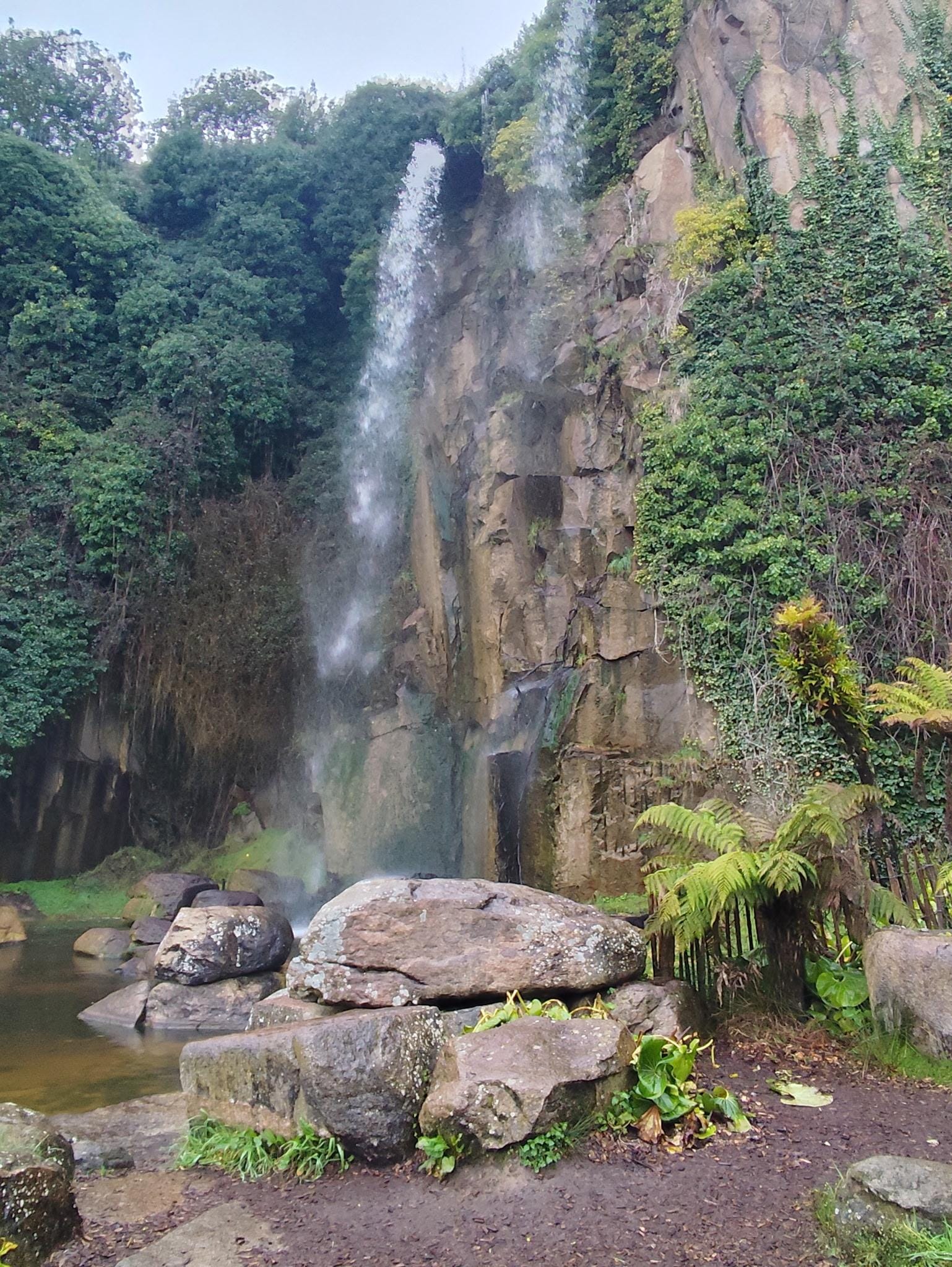 Jardin extraordinaire 