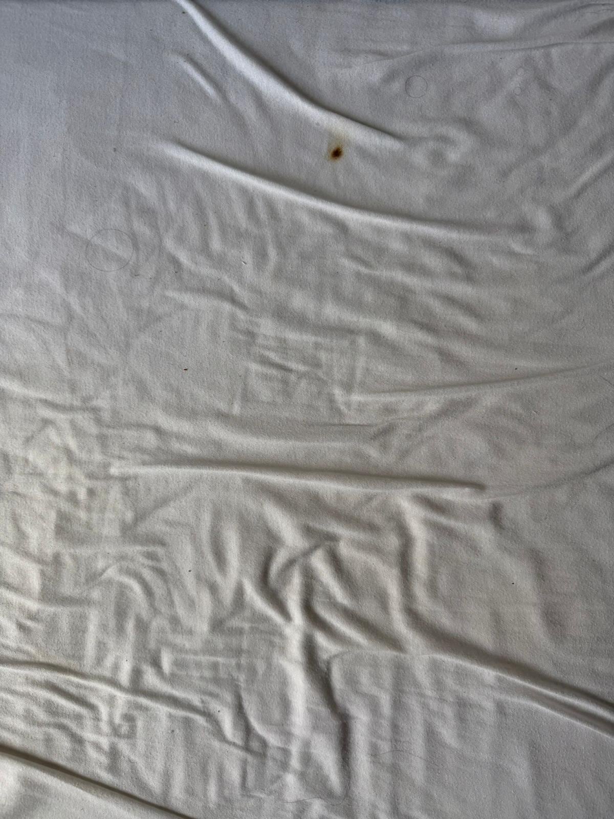 Sh*t Stain
