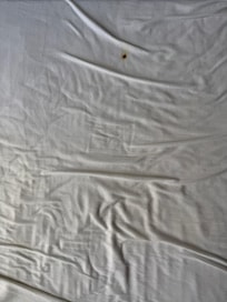 Sh*t Stain