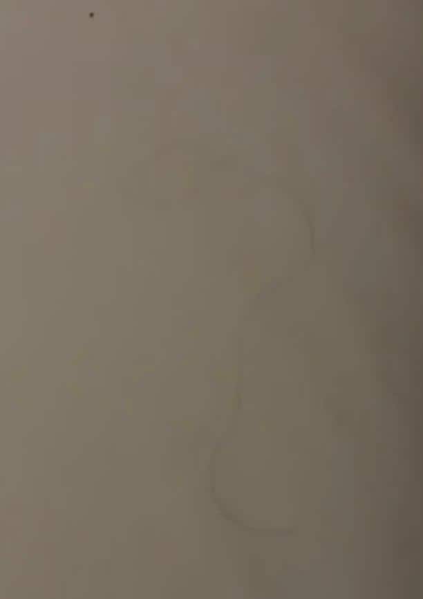 Human hair in our bed