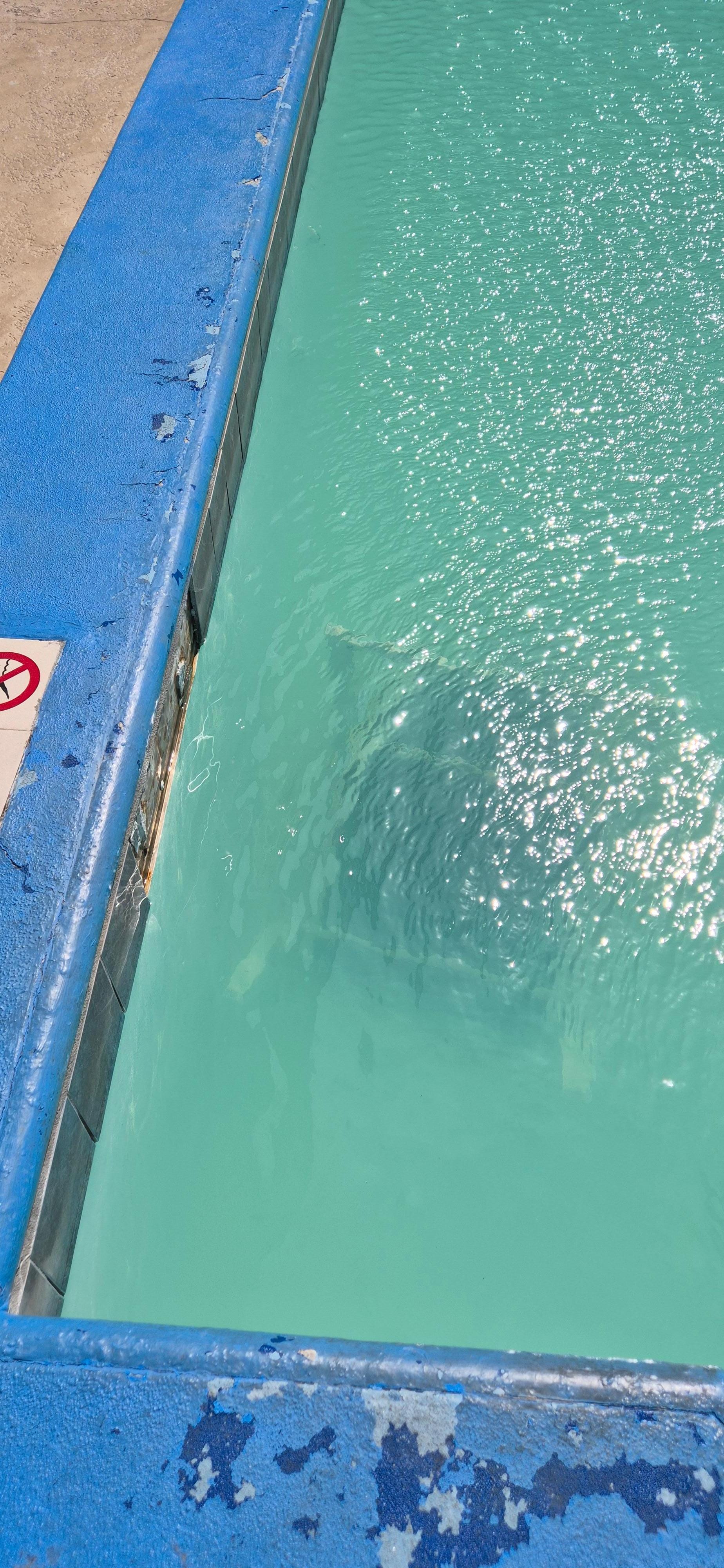 Tiles on side of pool falling off. Health and safety issue. Sharp objects for young children. Cloudy pool, poor sanitation. 