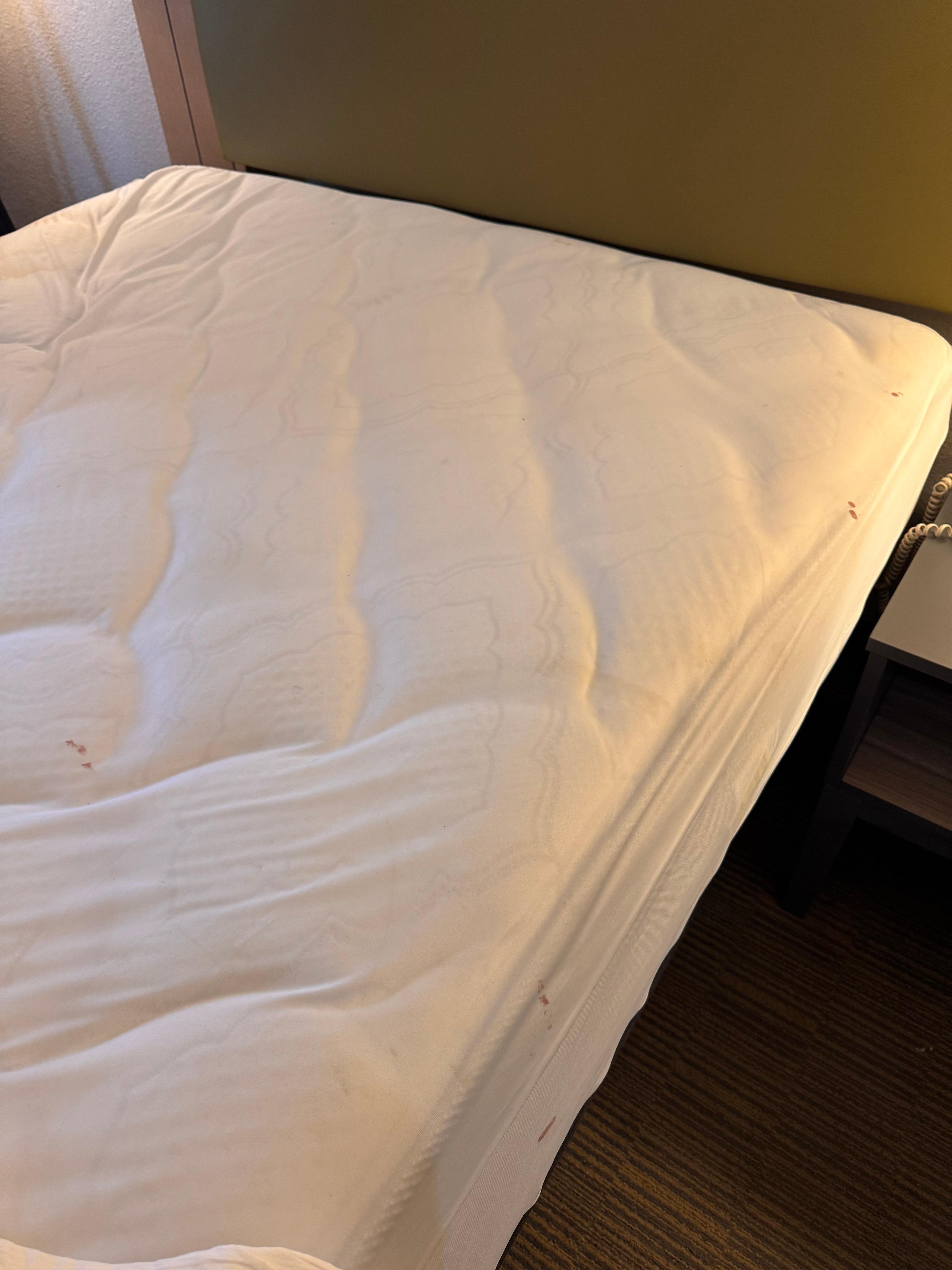 More blood on mattress cover 
