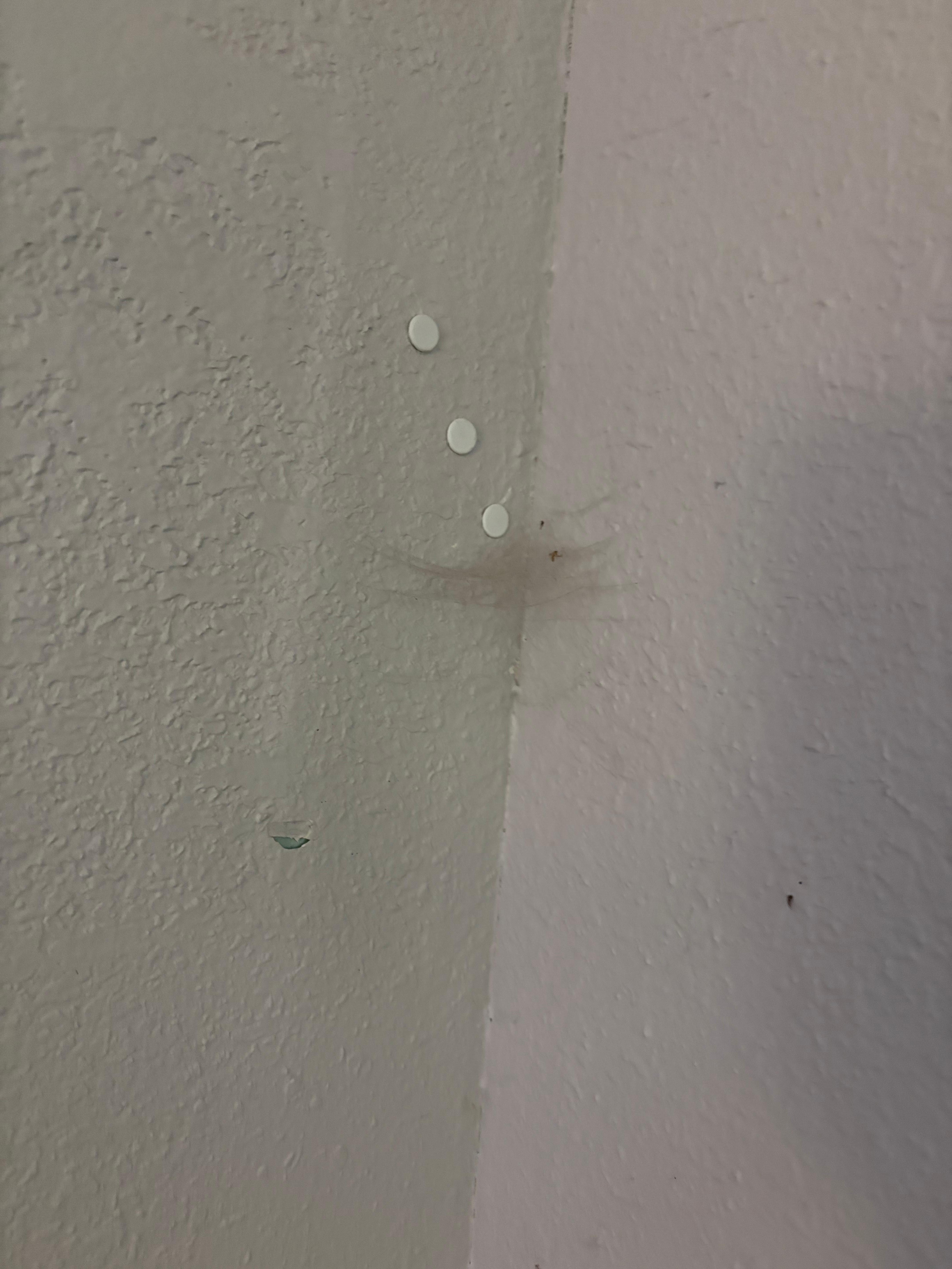 Cobwebs in all corners of room