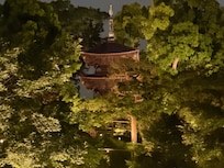 View within the gardens