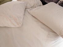 Stained sheets. Hair found in sheets.