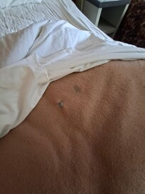 Holes and stains in blankets