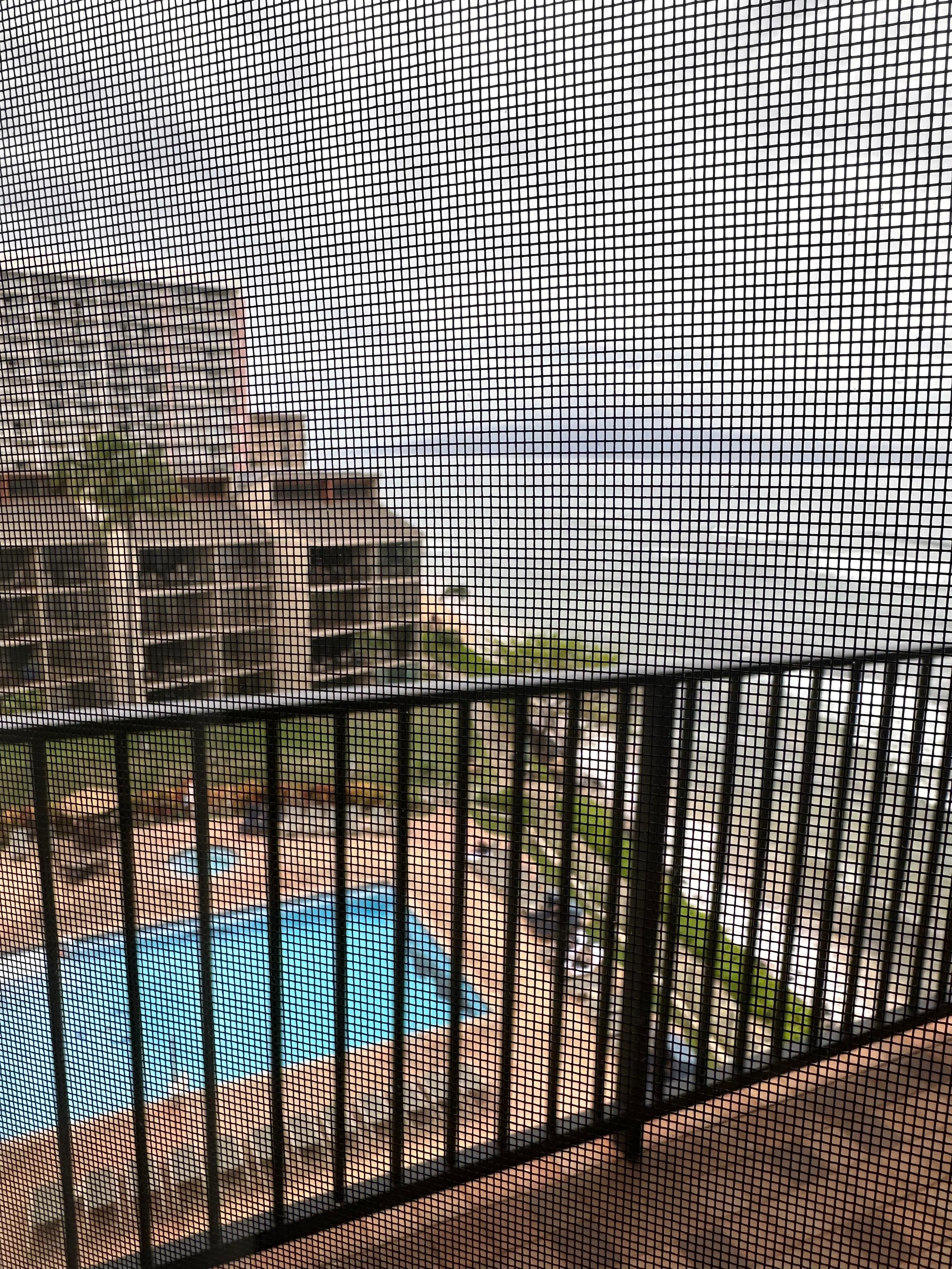 View from my balcony 1st thing one morning 