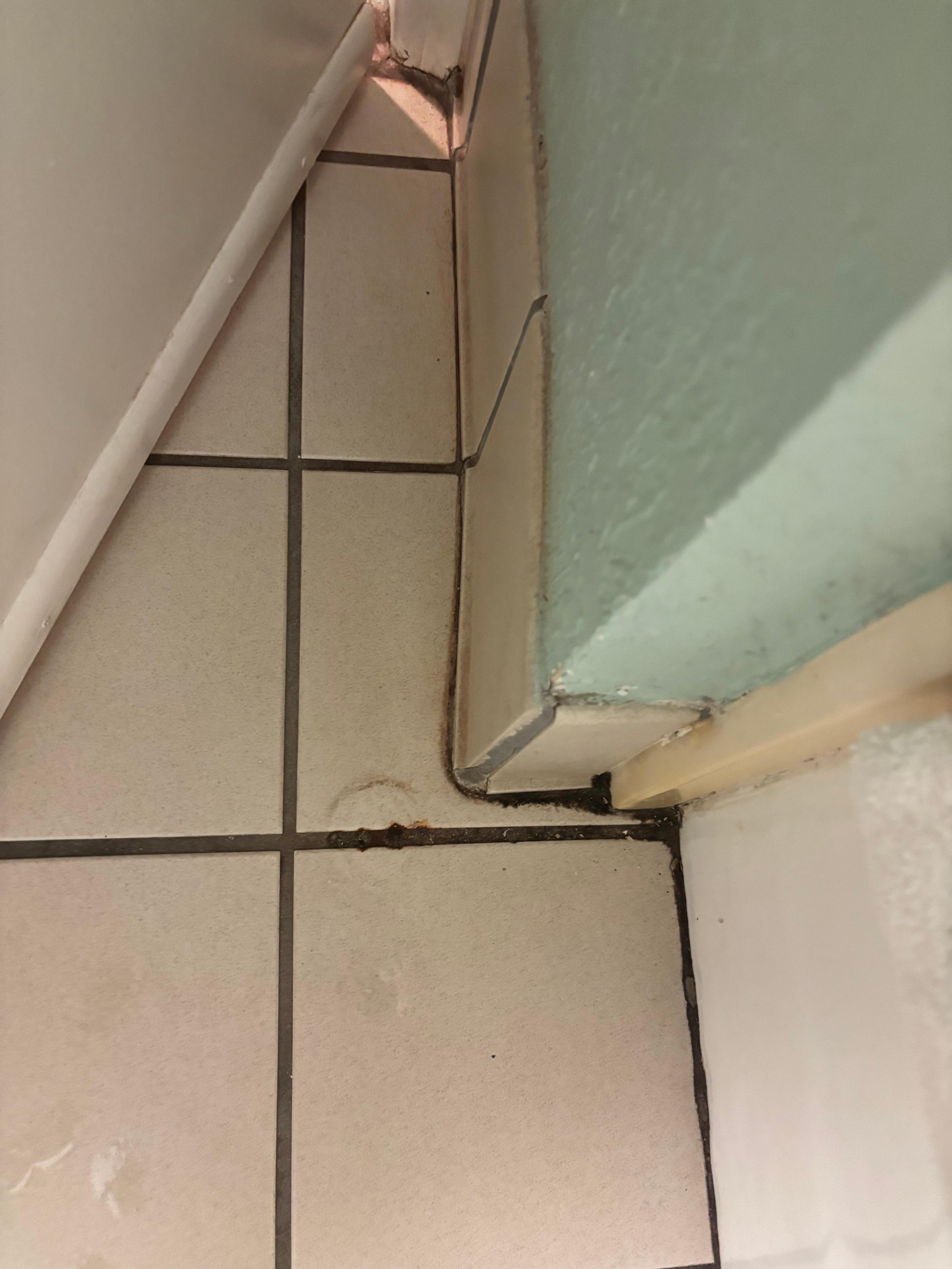 Disgusting bathroom grout